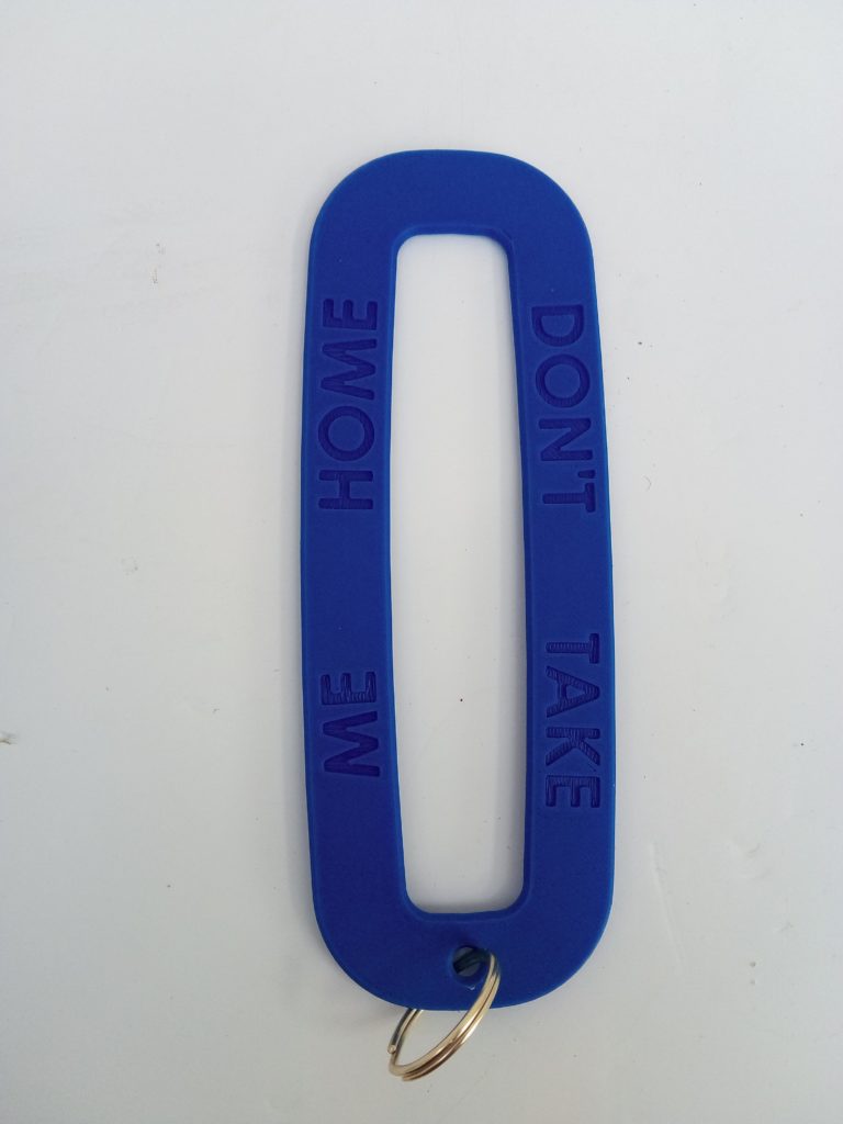 Don't Take Me Home! - Extra Large Key Fob | Disability Horizons Shop